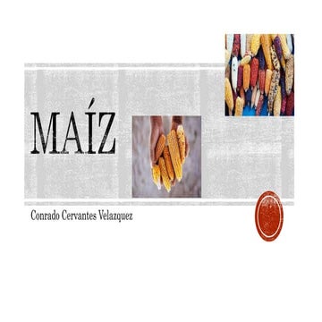 Triptico maiz | DOCX