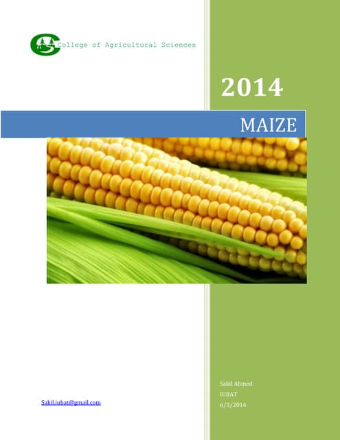 Botany of maize | PPTX
