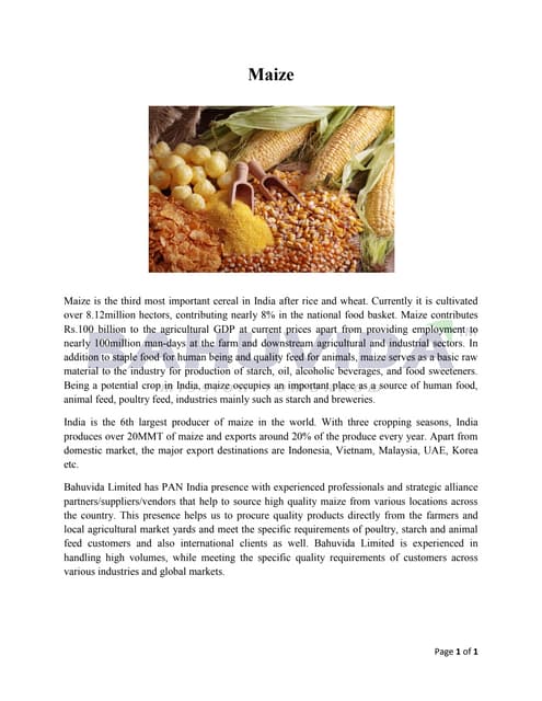 Infographic - Mealybug threat to cassava in SE Asia | PDF