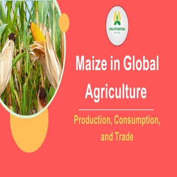 Maize in Global Agriculture : Production, Consumption,and Trade | PDF