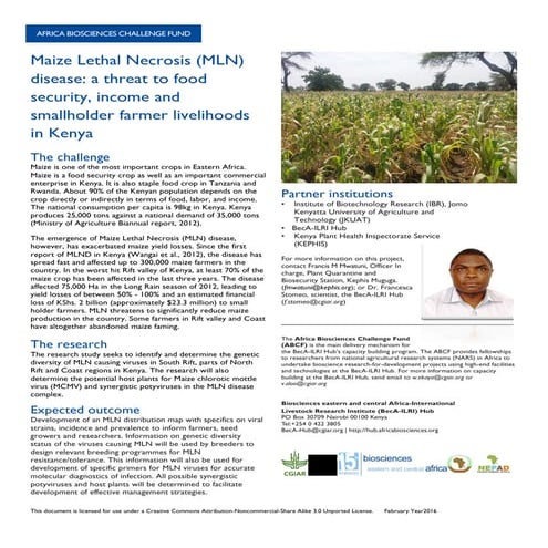Maize Lethal Necrosis (MLN) disease: a threat to food security, income and smallholder farmer ...