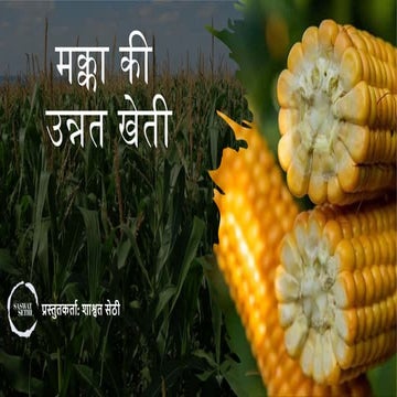 Maize Production Practices & pest Management.pptx