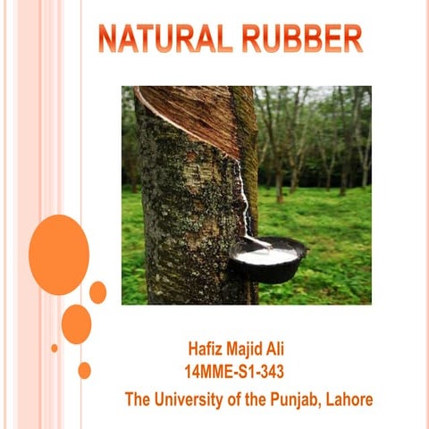 Natural Rubber | PPTX