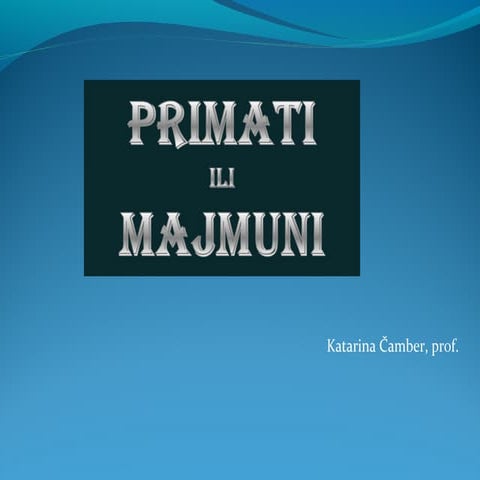 Majmuni | PPT