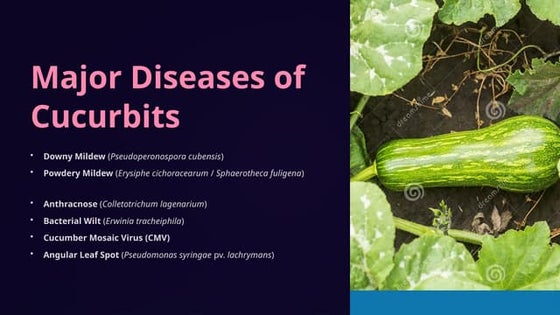 PGPR FINAL slideshare.pptx