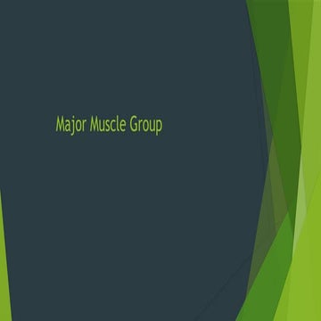 Major-Muscle-Group ppt. P.E lesson 5 week 5 | PPTX
