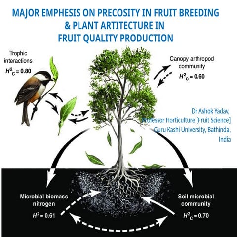Major emphasis on precocity in fruit breeding.pptx