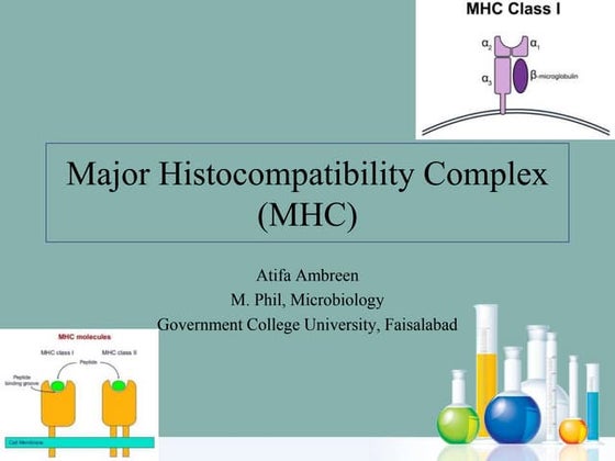 STRUCTURE AND FUNCTIONS OF MHC | PPT
