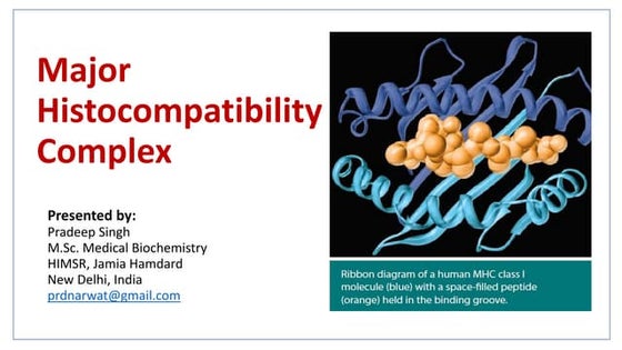 Major Histocompatibility complex | PPTX