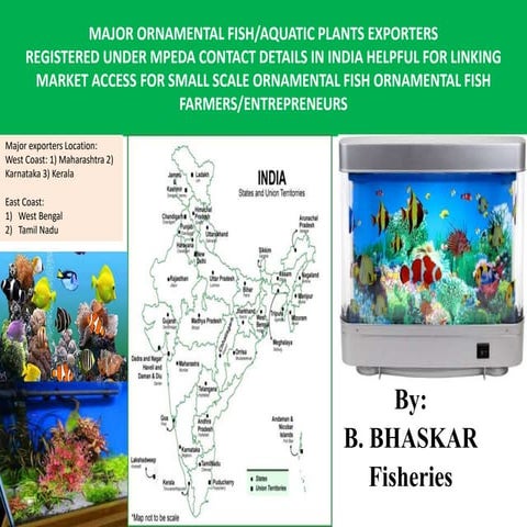 Major Ornamental fish Exporters contact details in India by B | PPT