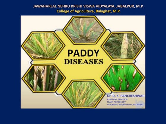 The future of food and agriculture: Trends and challenges | PPT