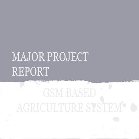 Major Project Report.pdf