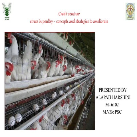 Intensive Housing systems for Poultry.pptx