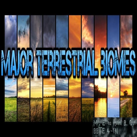 Major terrestrial biomes | PPT