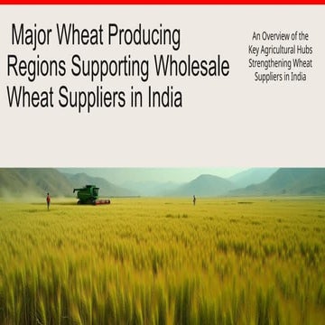 Major Wheat Producing Regions Supporting.pptx