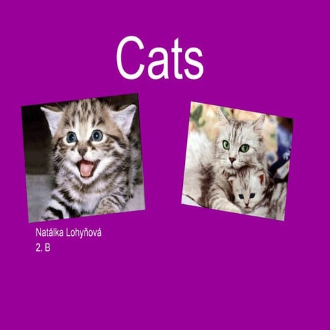 Cats ppt | PPTX