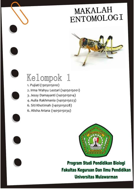 Anatomi serangga | PPT