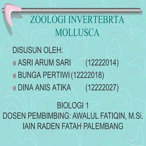 Molusca | PPTX