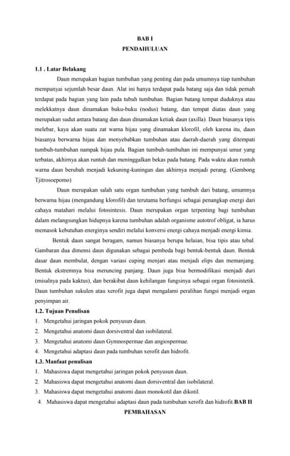 Struktur dan Fungsi Jaringan Pada Daun | PPTX