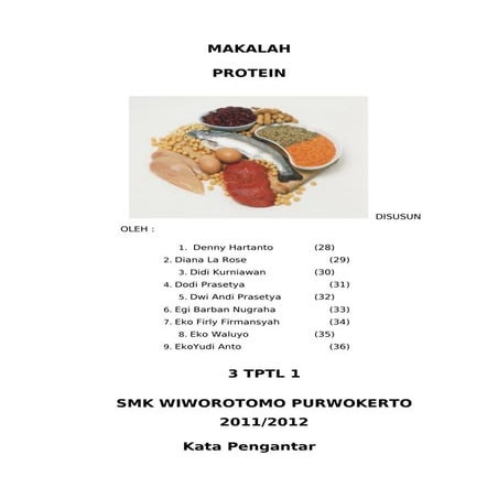 Makalah protein | PDF
