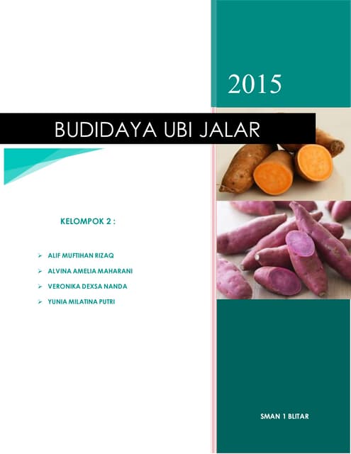 Ppt Ubi Ungu.pptx