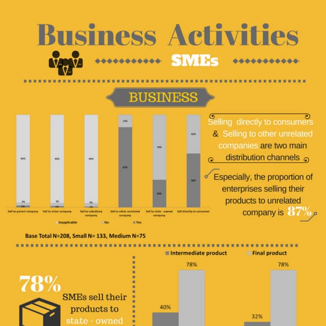 SMEs Business activities in Vietnam | PDF