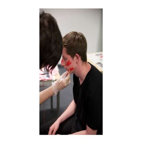 Makeup experiment presentation 2 | PPTX