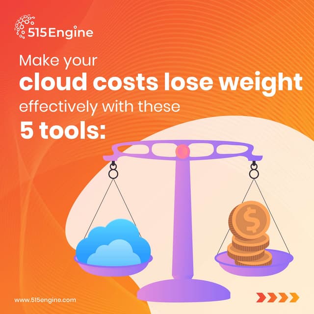Cloud Cost Management Tools | PDF | Cloud Computing | Internet