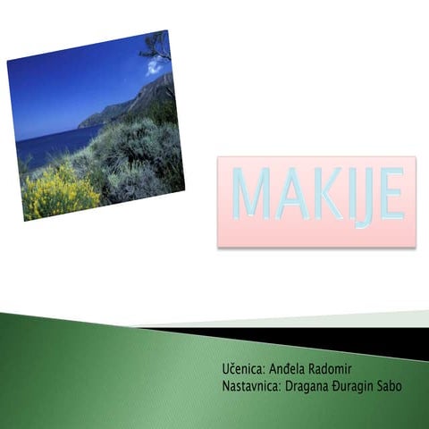 Makije | PPTX