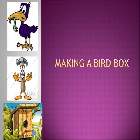 Making a bird box 2 | PPTX