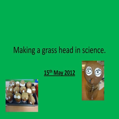 Making a grass head in science | PPTX