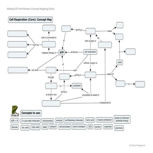 Making ATP Concept Mapping Review | DOCX | Chemistry | Science