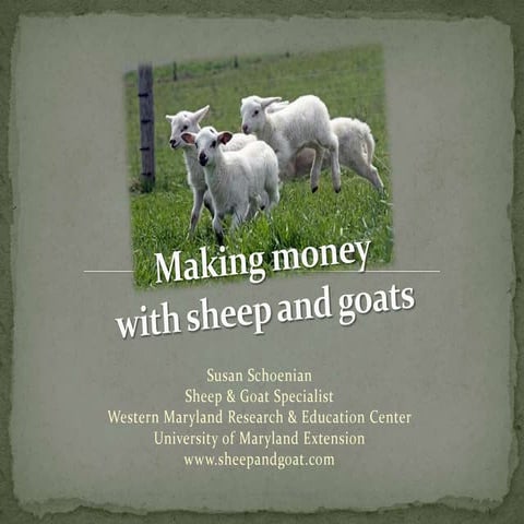 Making money with sheep and goats | PPTX