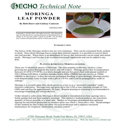 Making moringa leaf_powder | PDF
