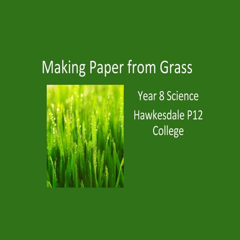 Making Paper From Grass | PPT
