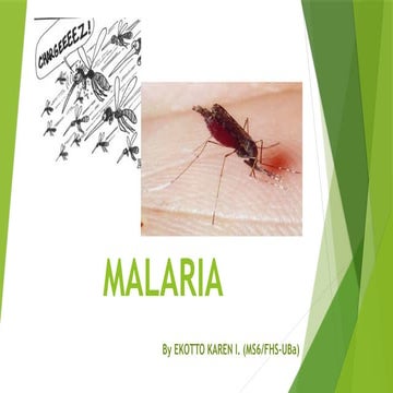 MALARIA LECTURE FOR MEDICAL STUDENTS IN CAMEROON1.pptx