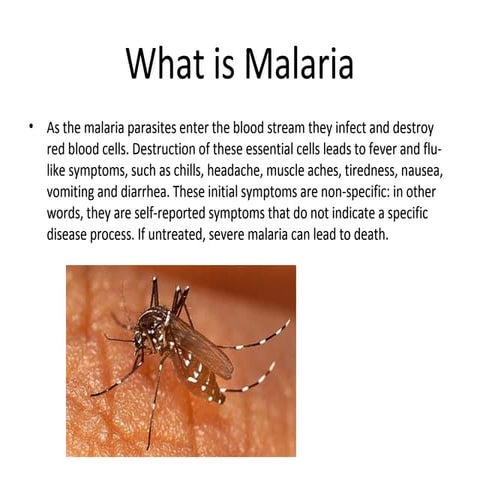 Biology investigatory project class 12 [malaria] | DOCX
