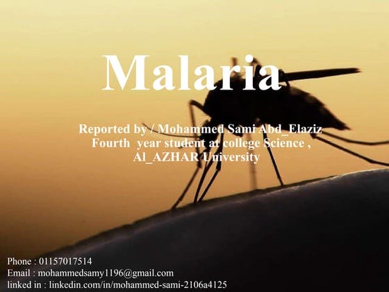Biology investigatory project class 12 [malaria] | DOCX