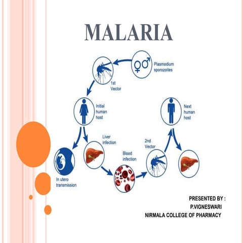 Malaria | PPTX