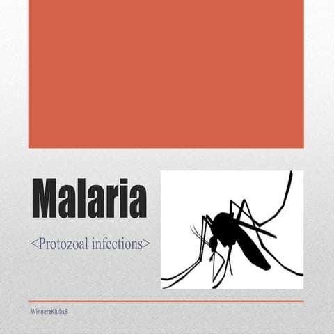 Malaria | PPTX