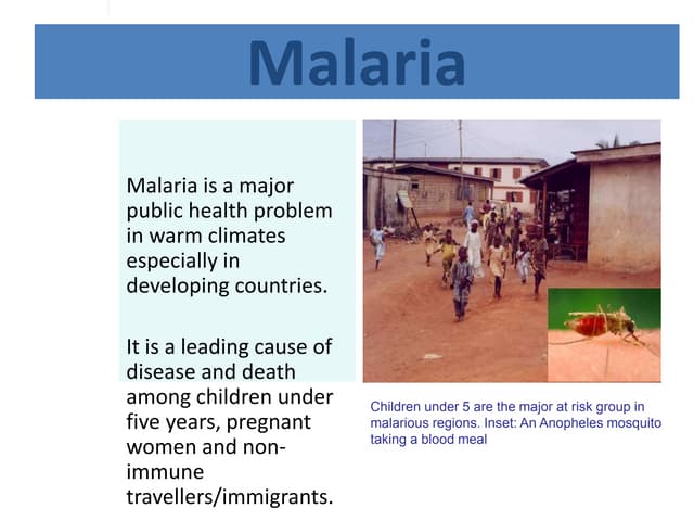 Project Paper on Malaria | DOCX