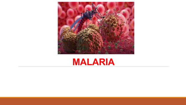 Malaria | PPTX