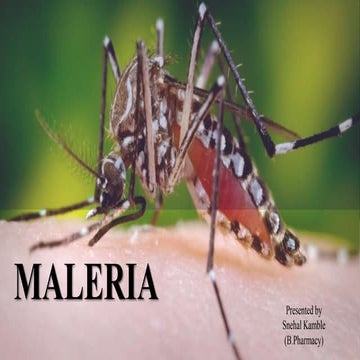 Project work malaria class 12_ HS biology project | PDF