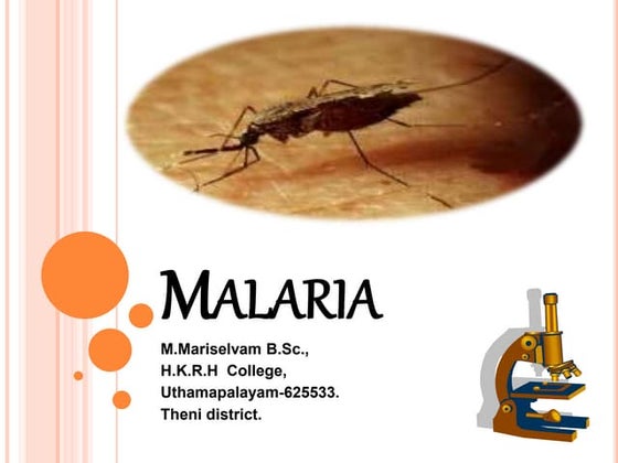 Malaria | PPTX | Infectious Diseases | Diseases and Conditions