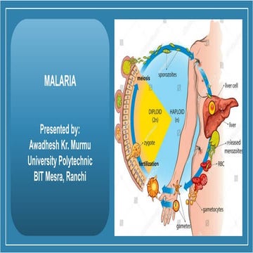 An overview on Malaria by Awadhesh Murmu | PPT