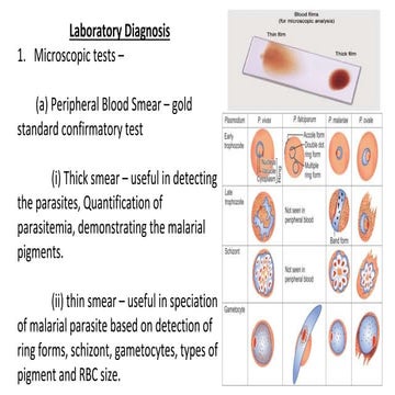 malaria - lab. diagnosis.pptx