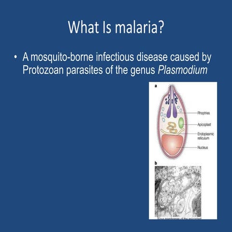 Malaria | PPTX