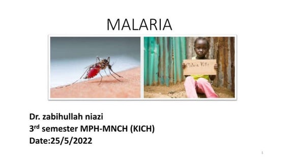 _Malaria_Treatment_Presentation__.pptx