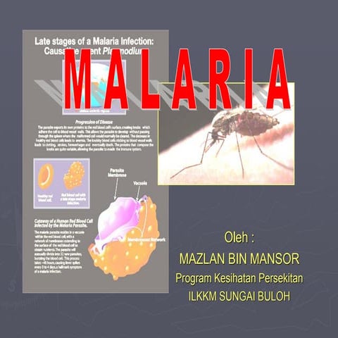 Malaria 2020 | PDF