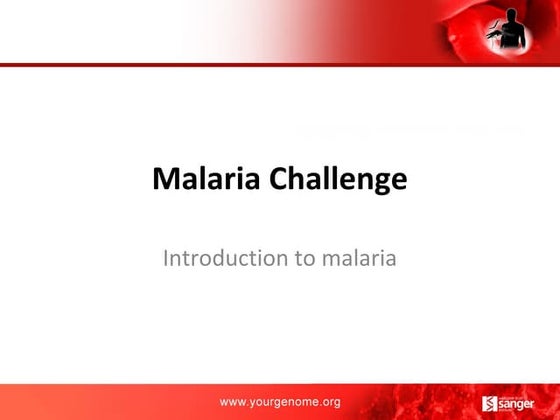 Malaria | PPS | Infectious Diseases | Diseases and Conditions
